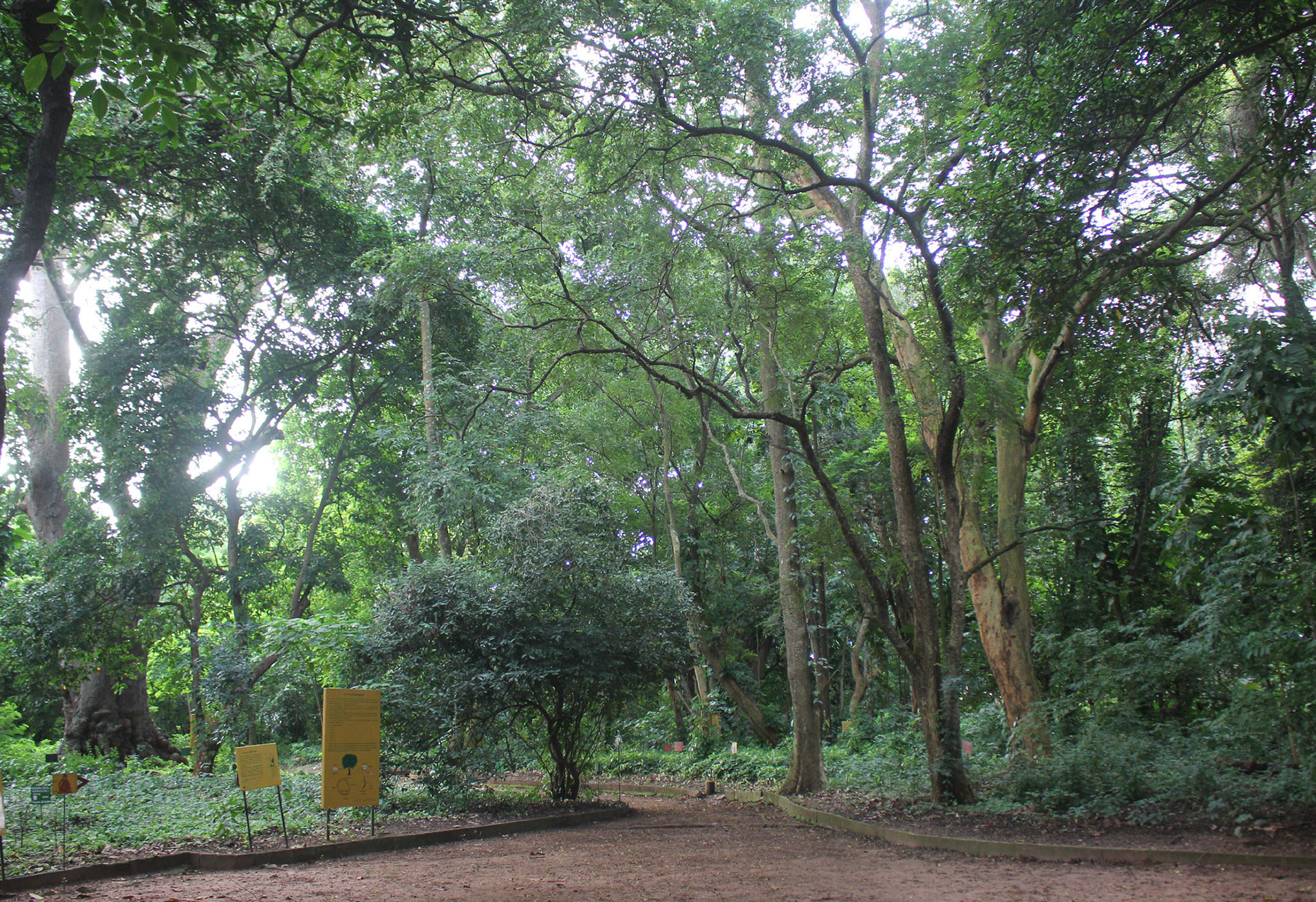 GRABE-BENIN - Cultures & Patrimoines